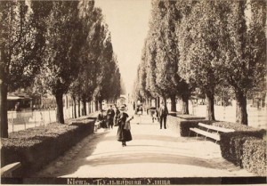 Признание в любви – Elegant New York